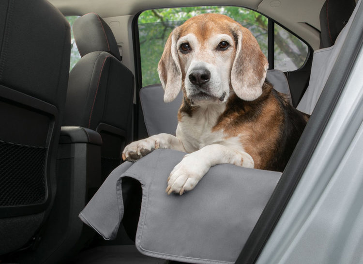 The Best Subaru Crosstrek Accessories for Dog Lovers – VIP Auto ...